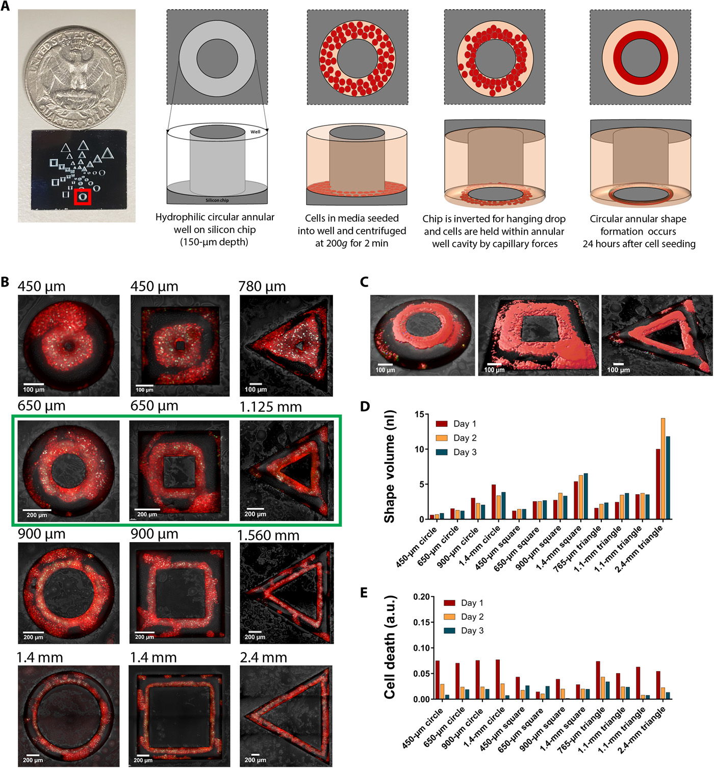 Researchers develop new technique to study 'microcancers' and screen ...